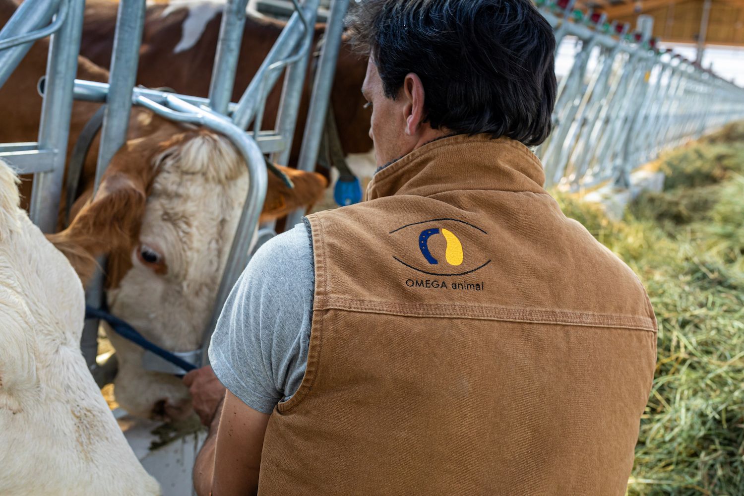 OMEGA animal, logette vache ergonomique et maintien-tête rigide