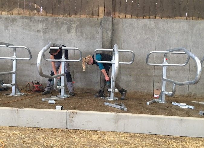 Session Montage de Logettes OMEGA – OMEGA animal