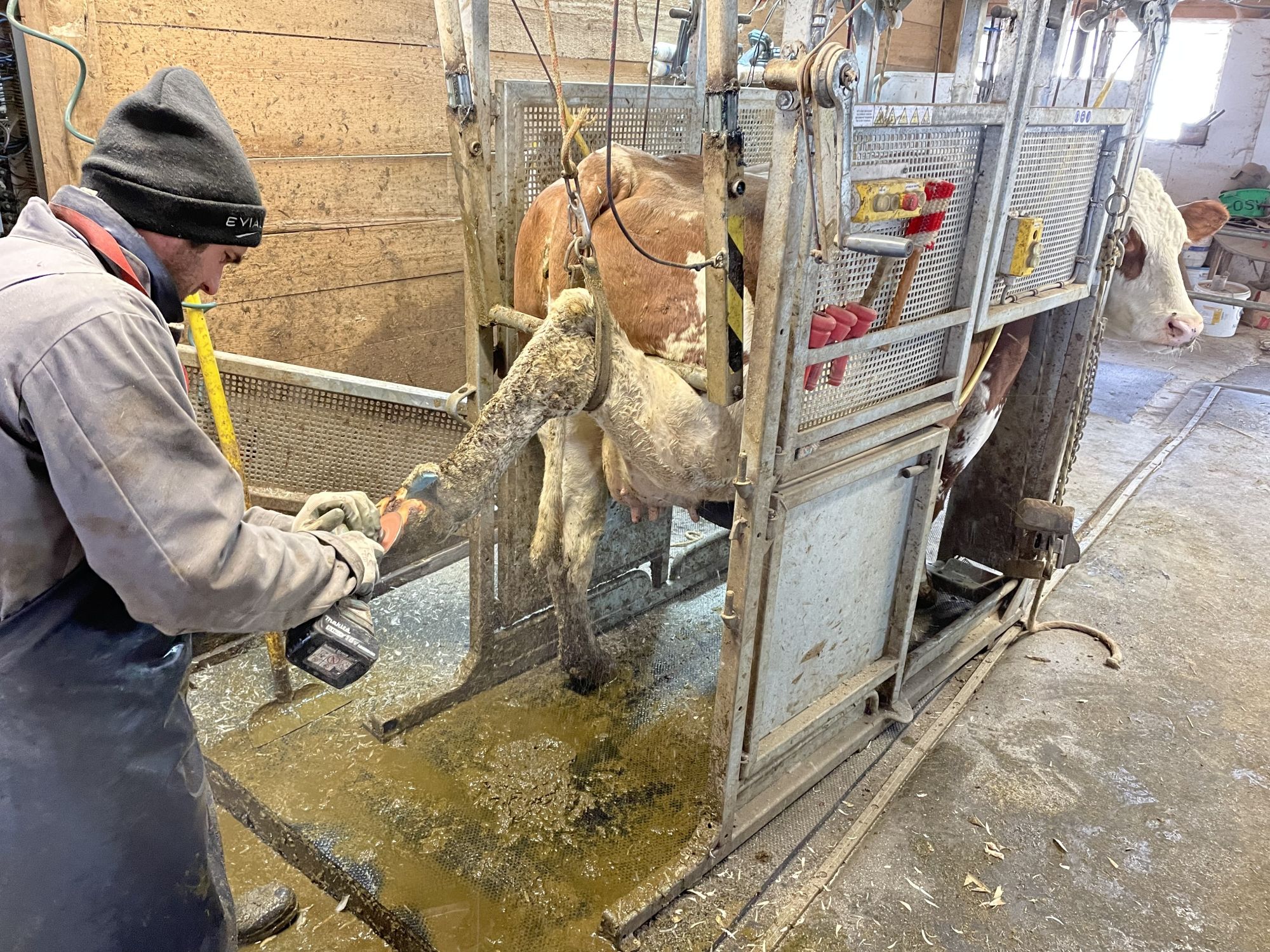 Journée Parage – OMEGA animal